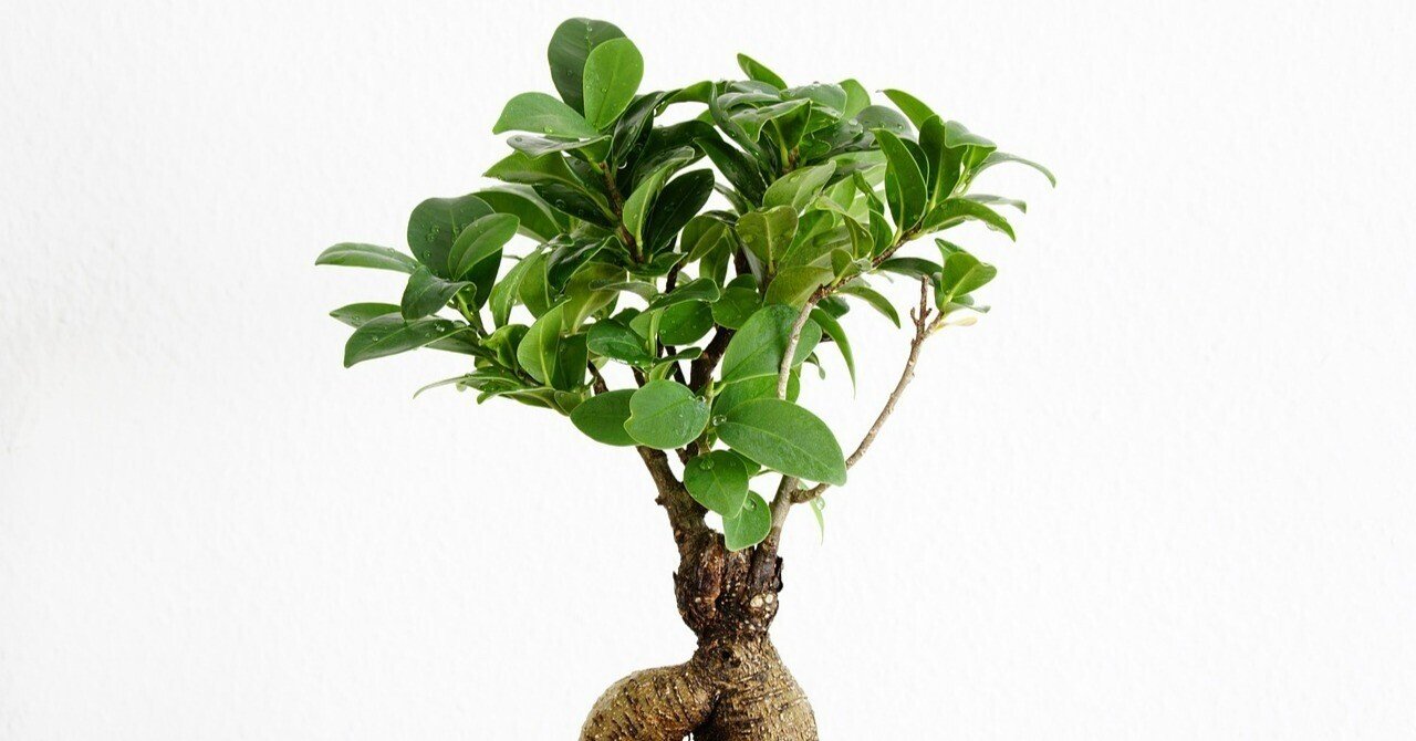 4．自己紹介【Part③】｜Kentaro