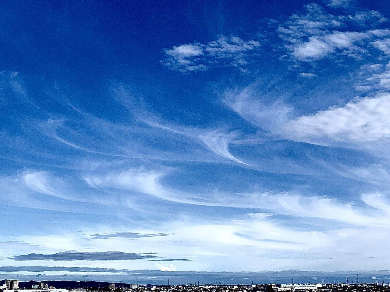 おいで、おいで🤌…｜micay_lala