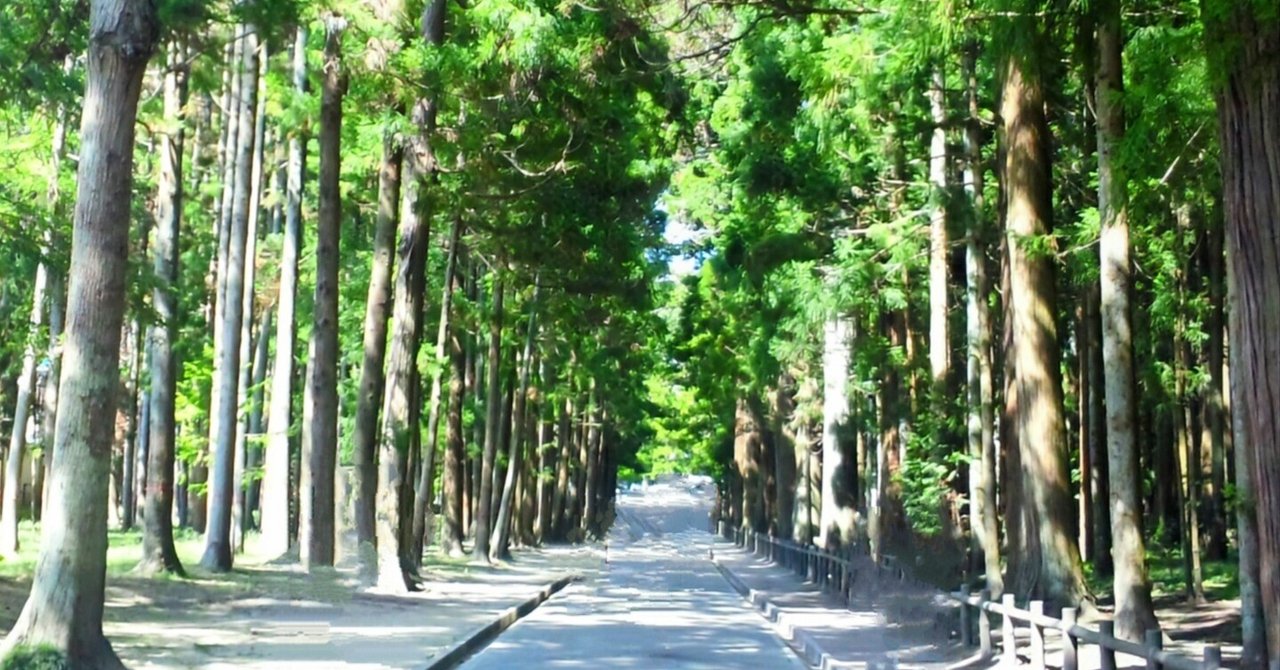 自然が好き｜karubii