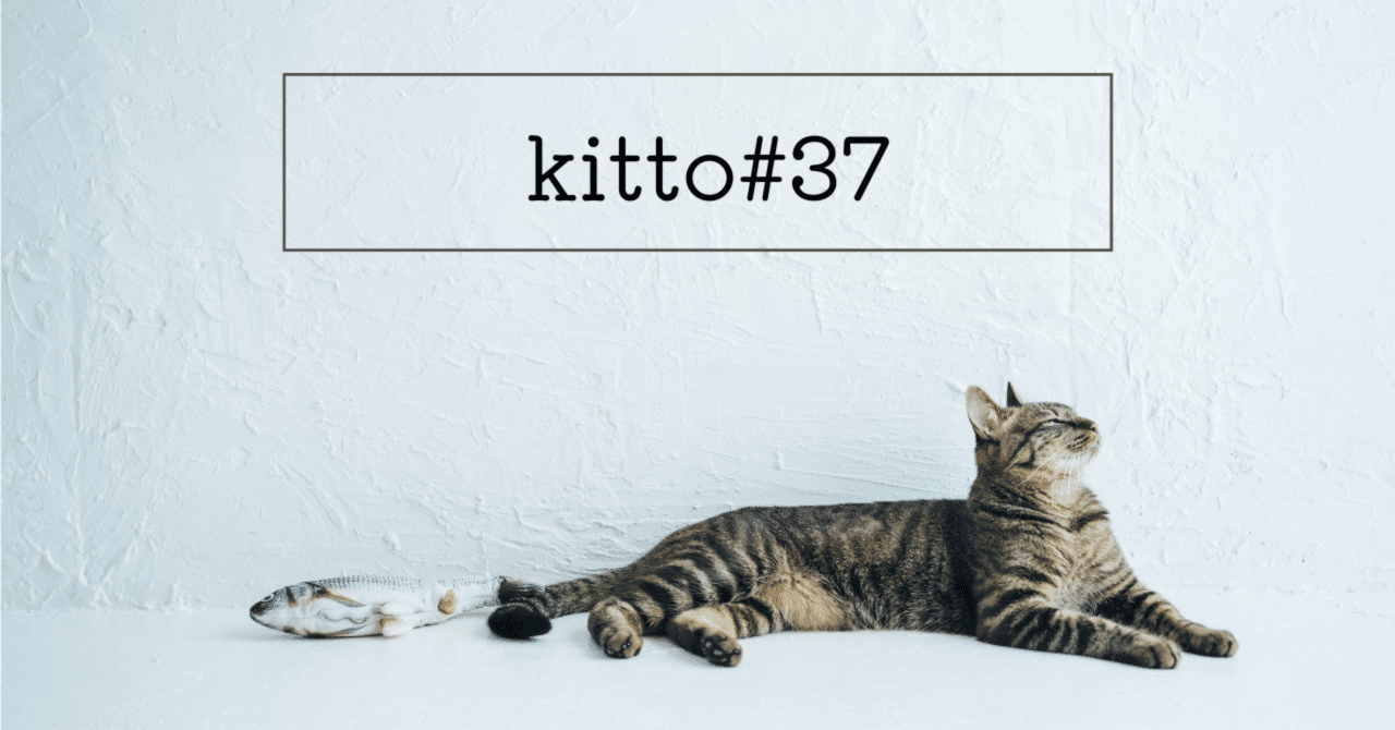 kitto#37 やりたいこと｜noki🧸