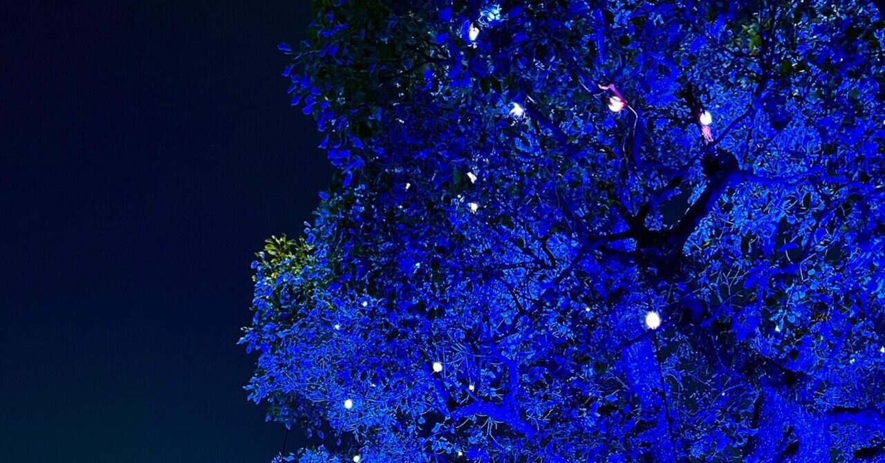 あおたん｜yukkey