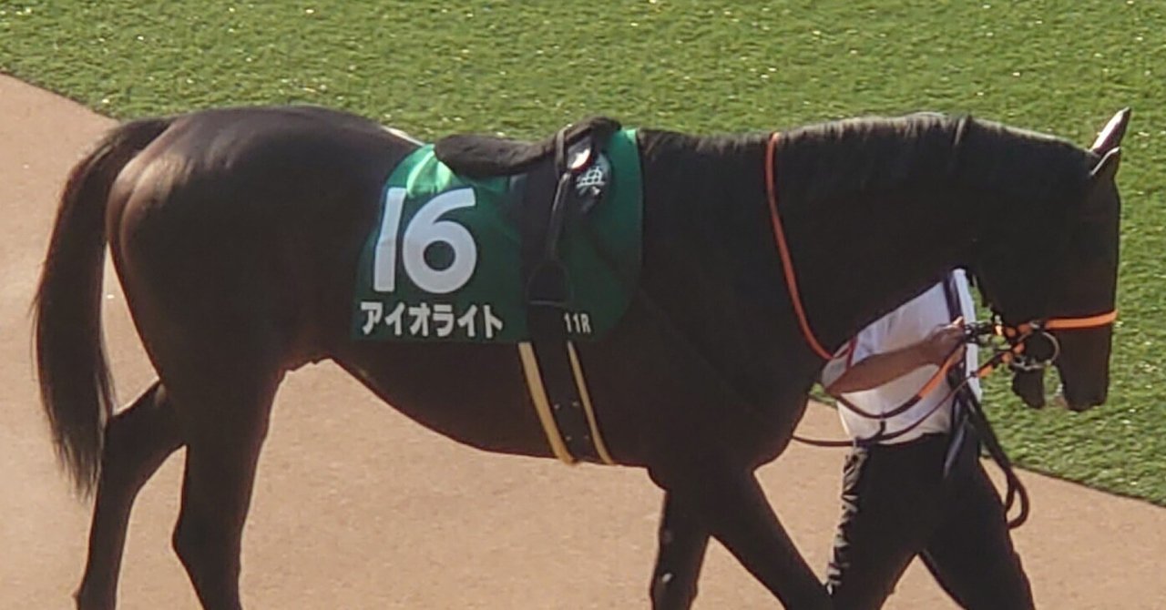 1/28㈰JRA東西重賞レース予想｜KATSU－GAMBA