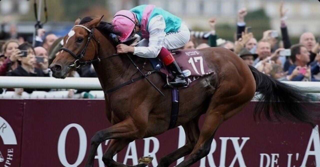 1.28／JRA情報分析予想（PRO）｜JRA／むそうの競馬予想