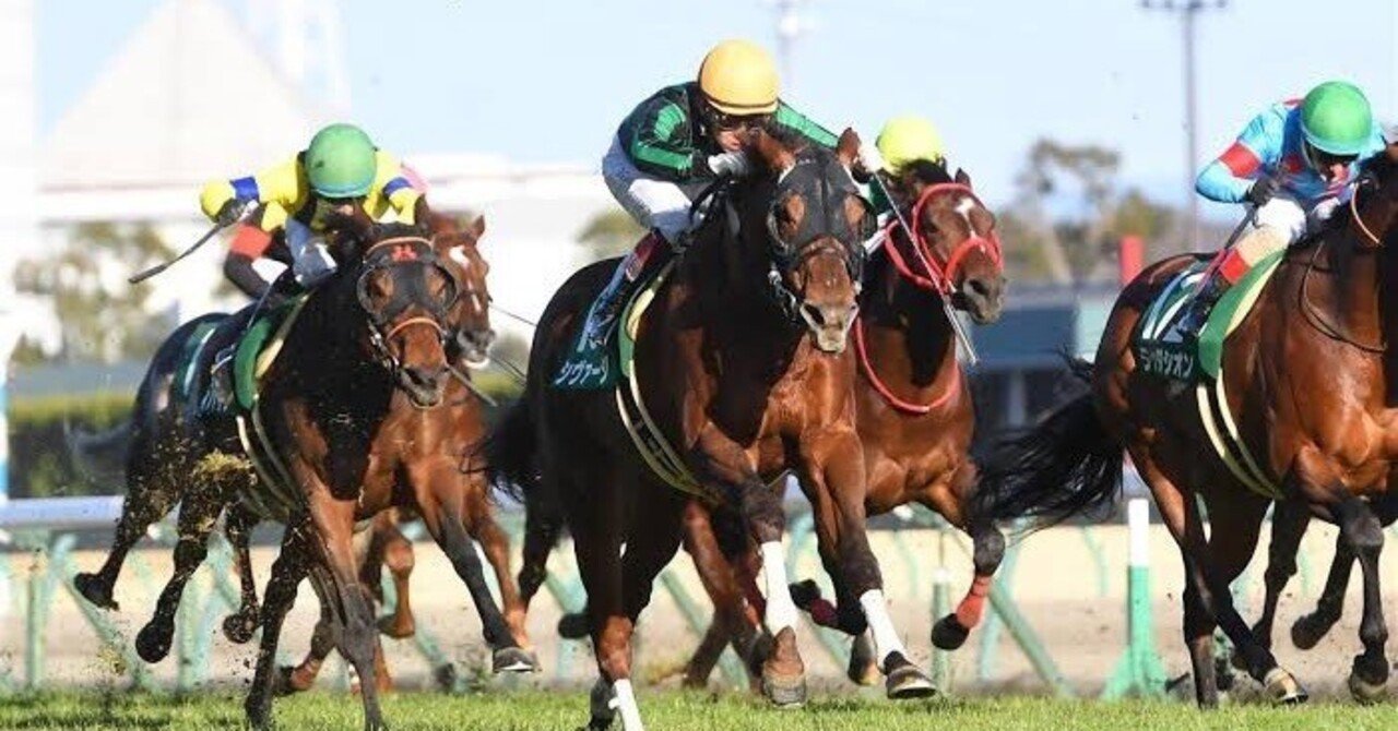 128 中央競馬東京、京都2会場全レース予想セット｜mia🎀競馬予想女子🐎💓無料予想公開中