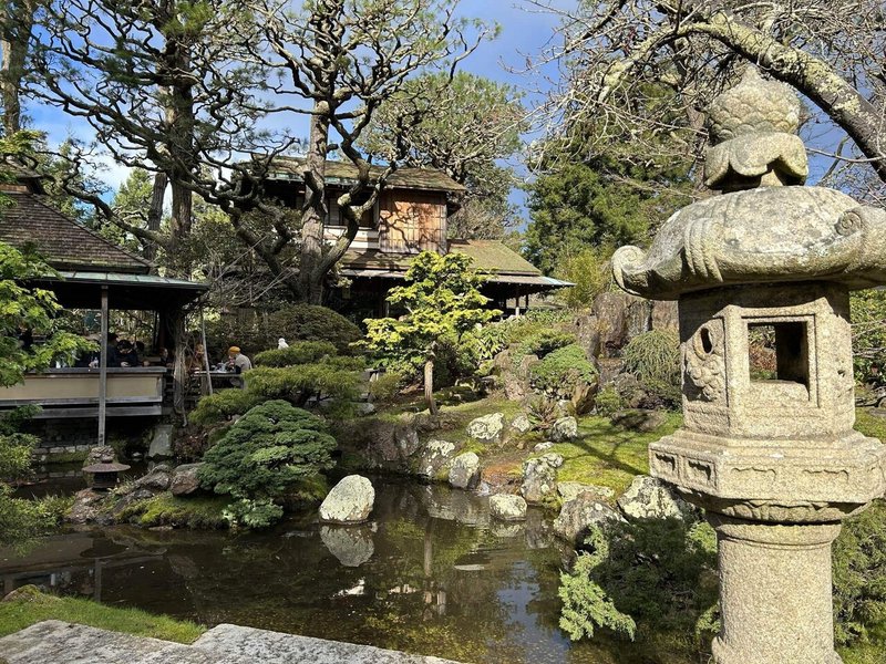 サンフランシスコ旅行記6 ゴールデンゲートパーク、日本茶園、ボタニカルガーデン、デ・ヤング美術館など。｜YASUHIRO SAN