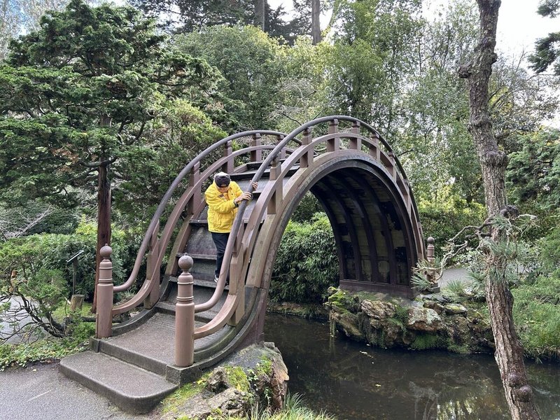 サンフランシスコ旅行記6 ゴールデンゲートパーク、日本茶園、ボタニカルガーデン、デ・ヤング美術館など。｜YASUHIRO SAN