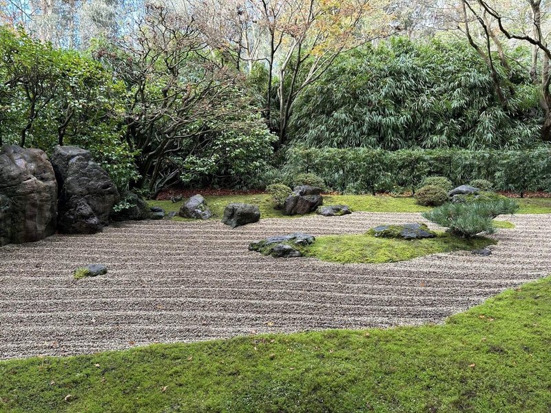 サンフランシスコ旅行記6 ゴールデンゲートパーク、日本茶園、ボタニカルガーデン、デ・ヤング美術館など。｜YASUHIRO SAN