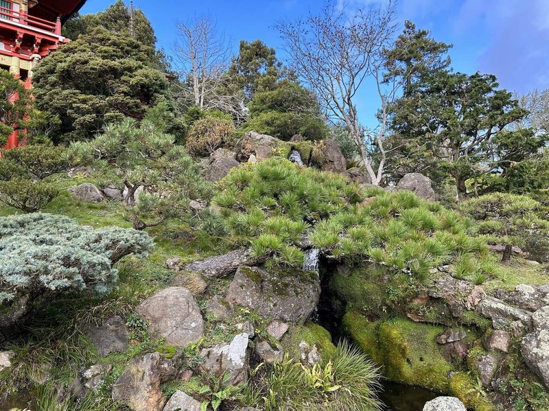 サンフランシスコ旅行記6 ゴールデンゲートパーク、日本茶園、ボタニカルガーデン、デ・ヤング美術館など。｜YASUHIRO SAN