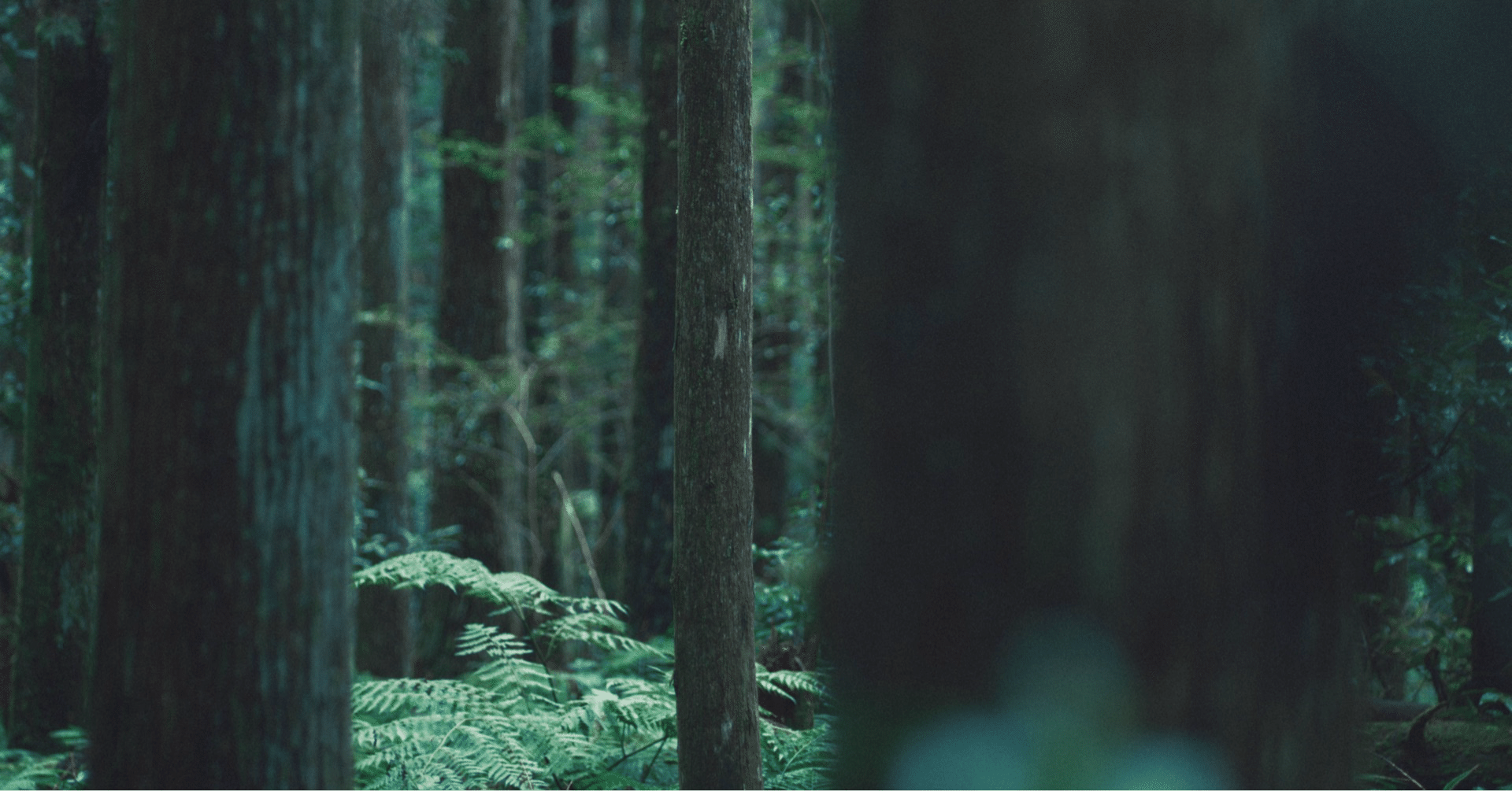 Shotaro Hamasaki｜note