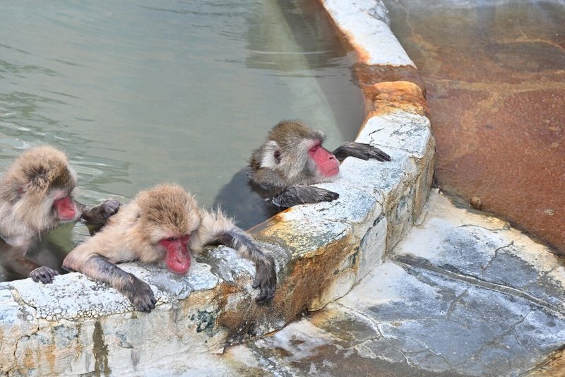 Hitoshi Kobayashi｜note