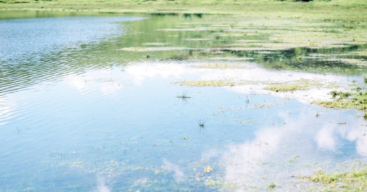 祈ること｜Shotaro Hamasaki
