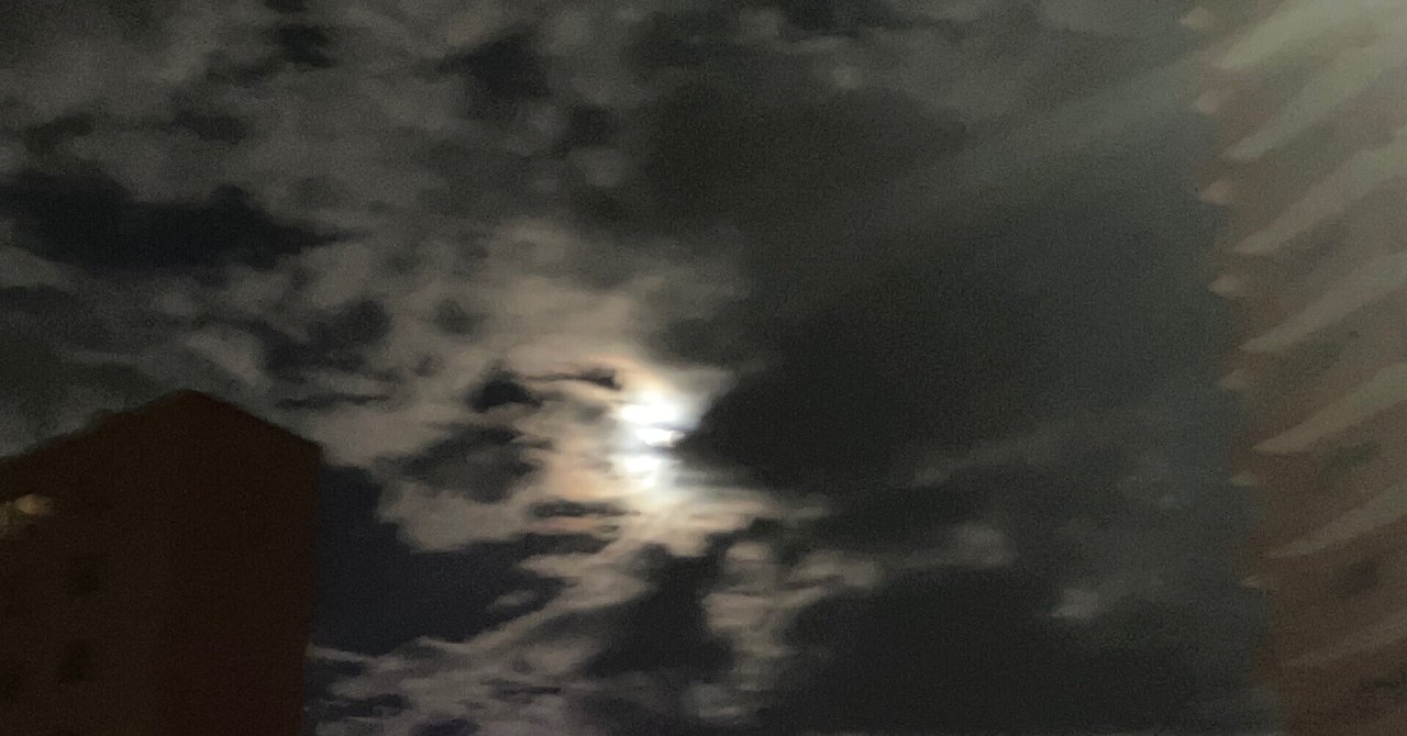 1月の前半戦｜Anomise