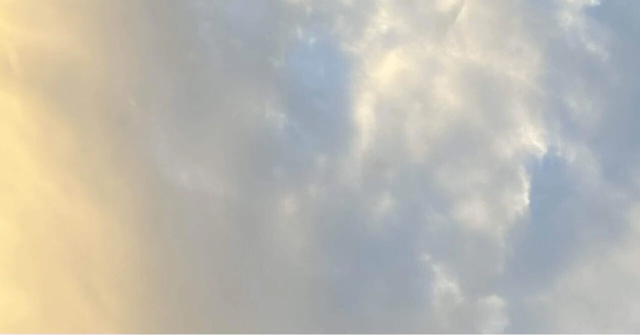 RYF 🚩12期 3-②｜Wakana