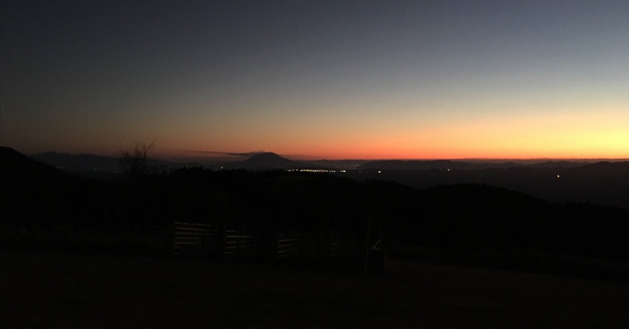 経済価値ベースの生命保険負債評価におけるTVOGの理論と実務、その勘所｜外資系生保アクチュアリー