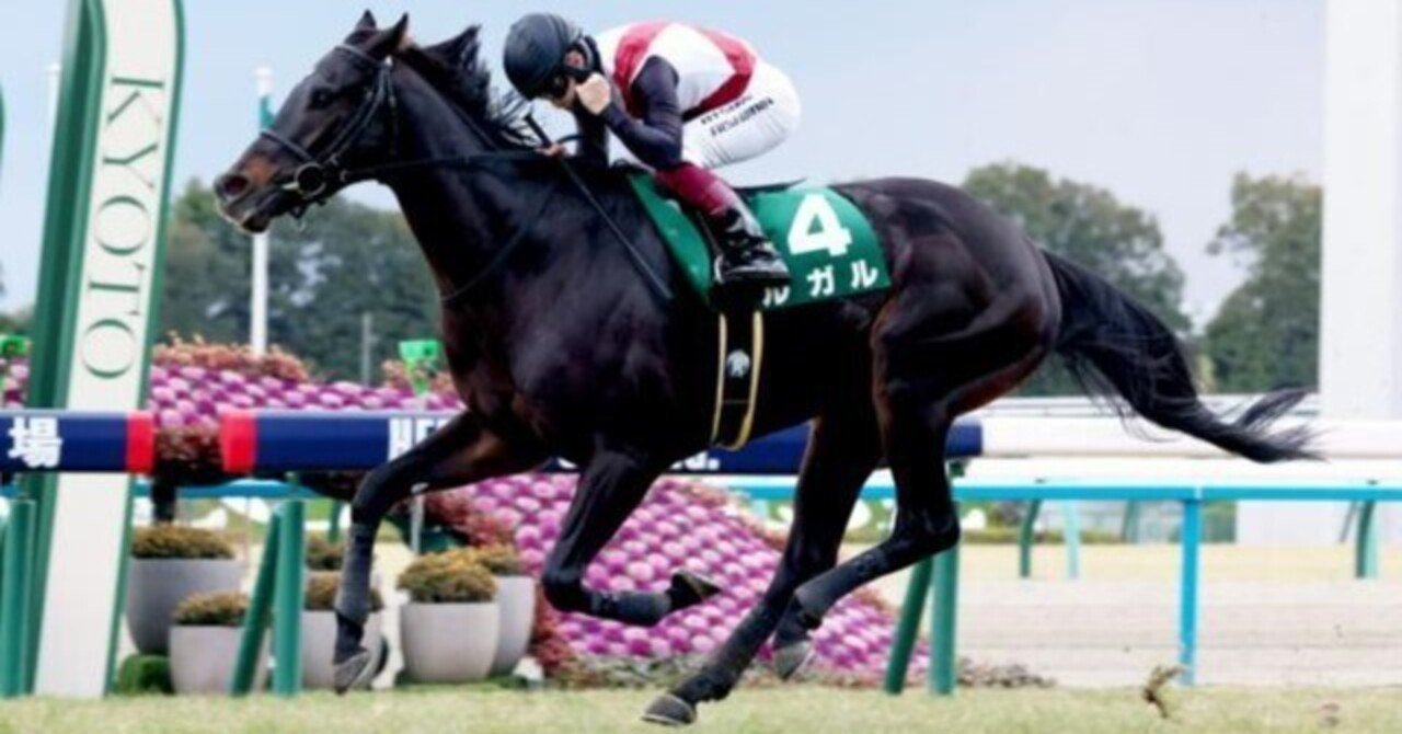 【シルクロードS（G3）回顧～その先へ】日刊コンピ篇｜Haya