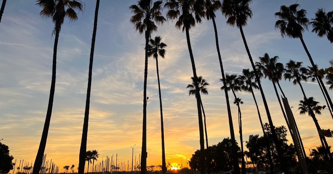 お姉ちゃんでいることの大変さ｜tomoko(LA在住）