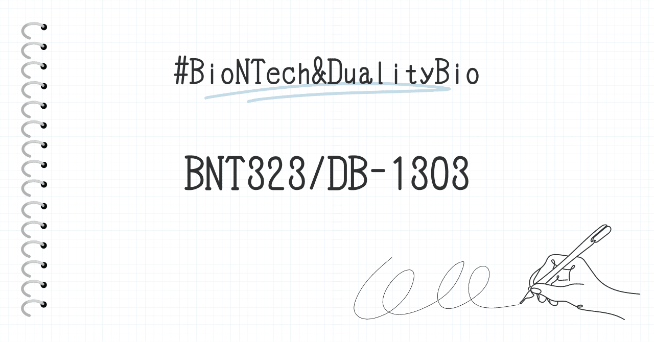 BNT323/DB-1303（BioNTech&DualityBio）｜Chiku-note.