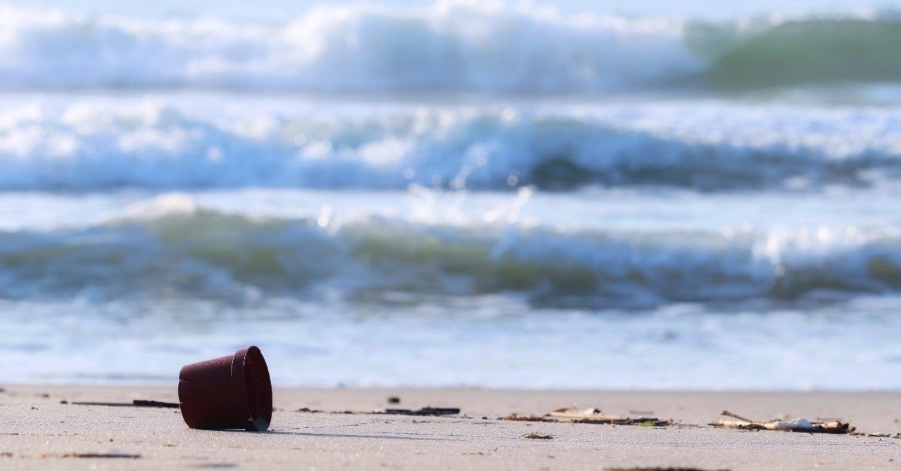 写真が好きです【海版】｜KAIRI｜note