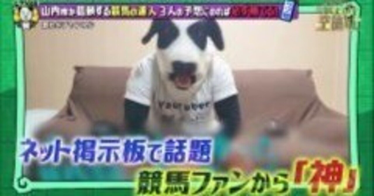 1月31日（水）注目馬｜競馬予想師🐮暴れ牛〜official
