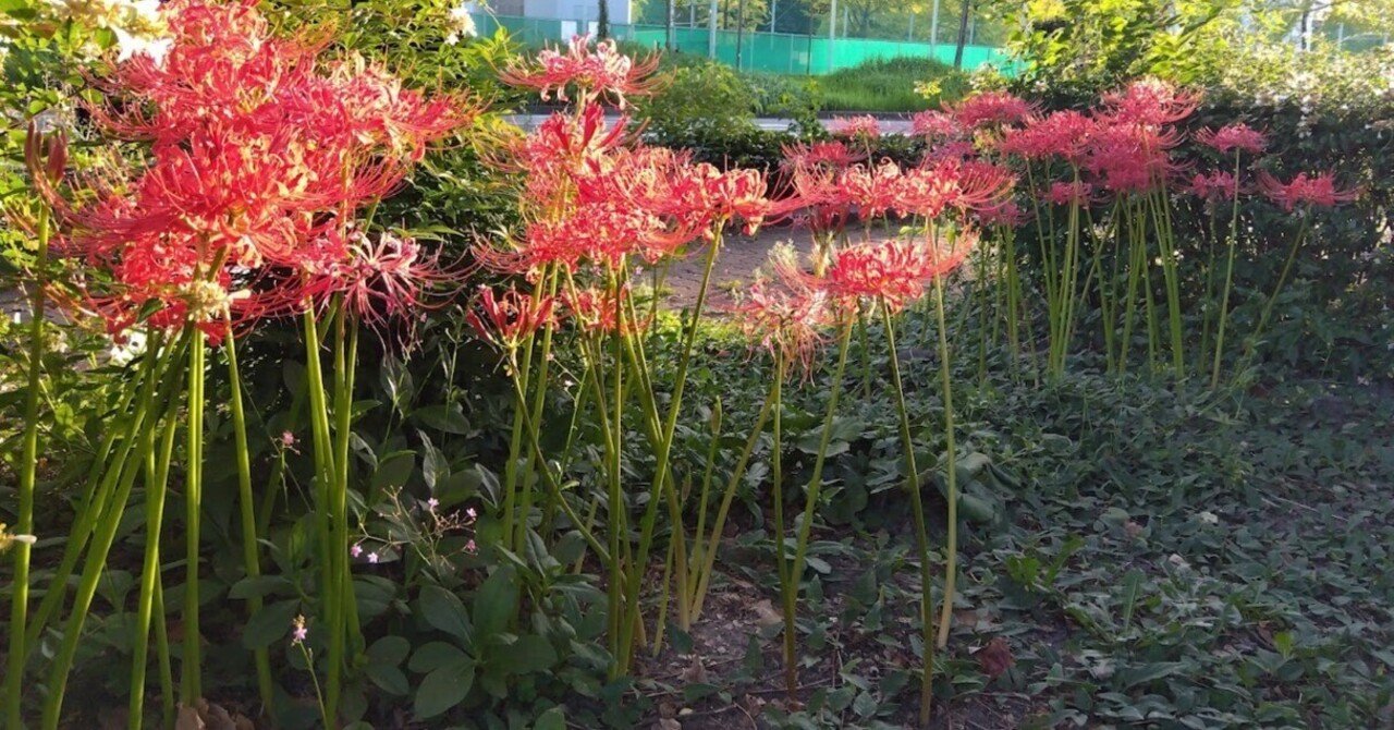 秋｜Hiro Funahashi