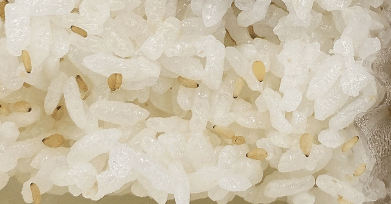 2024/01/29 すごい｜Pf_tacos