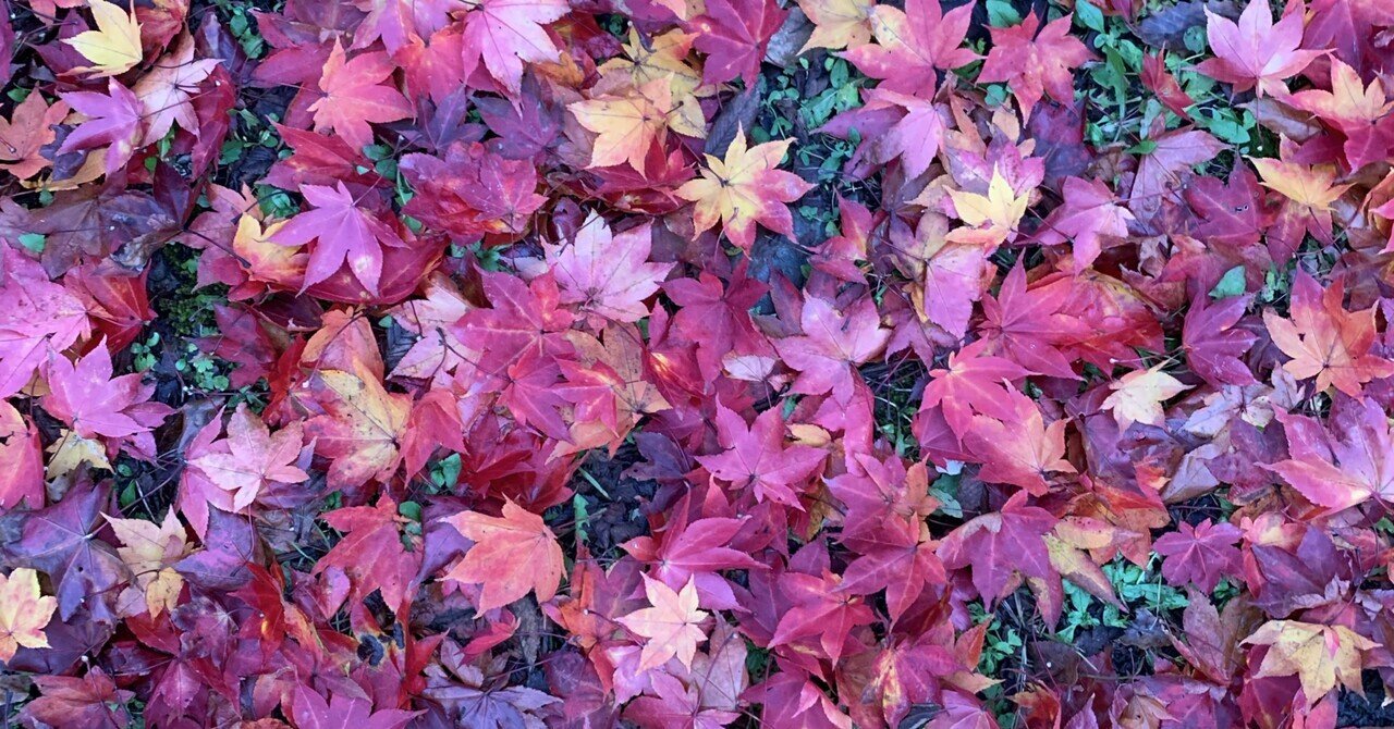 ACP〜アドバンスケアプランニングを再考する〜｜つくし