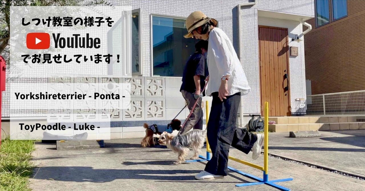 誰がためのしつけ｜飼い主さんのためのお教室丨One for Dog