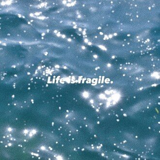Life is fragile｜note