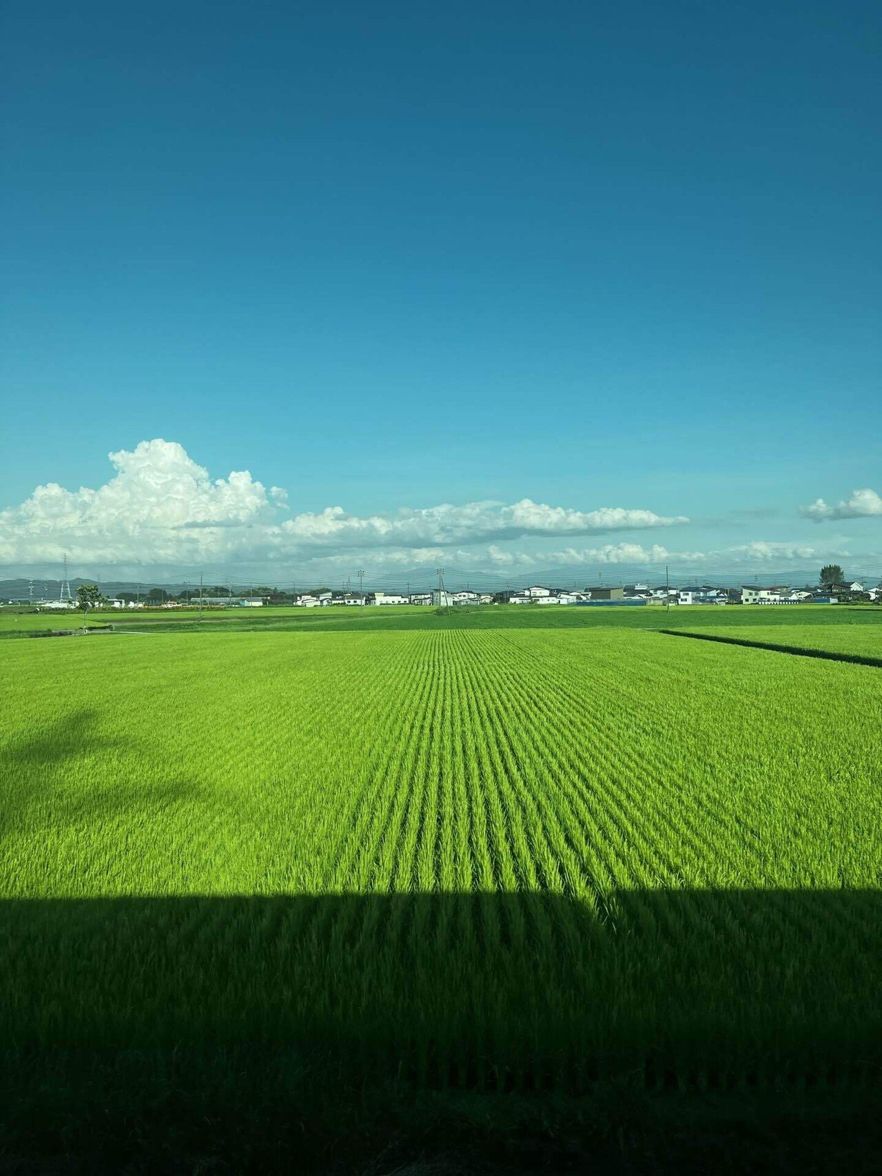 田舎のリアル|青森リバーサイド