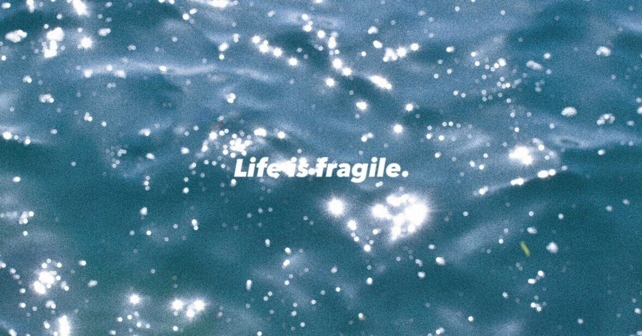 Life is fragile.｜Life is fragile