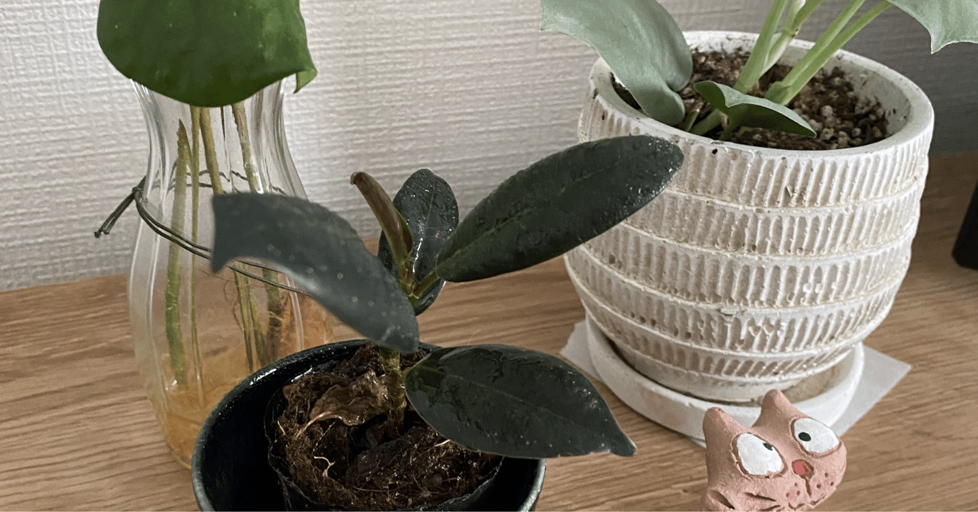 shiho_et_bonbon｜note