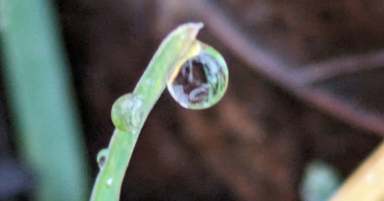 「織田作之助賞」受賞作家の小林長太郎と彼が残したブログ「負荷」と記事を忘れない〜#165｜ichiro70