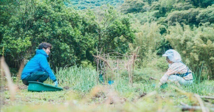 がっぱい@Mellow Amami｜note