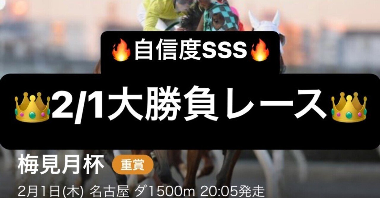 【リポストで価格割引】🔥!【最高配当200万馬券の3連単買い目つき】👑今週の名古屋競馬勝負レース🔥名古屋11r重賞👑梅見月杯👑|競馬キング