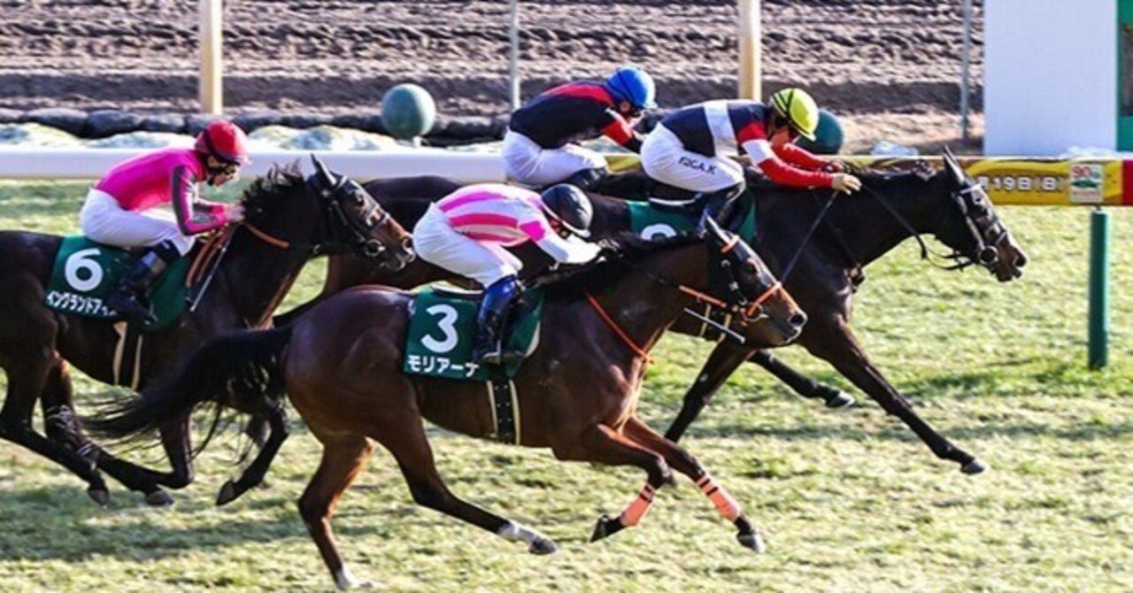 【2024 クイーンカップ（g3）】日刊馬番コンピ指数分析予想篇｜haya