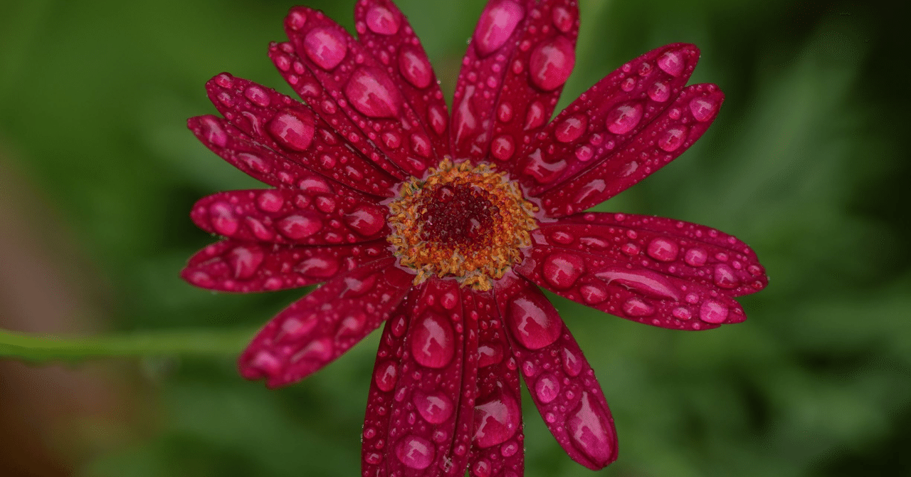 IPカメラはまだ高い｜neji bit