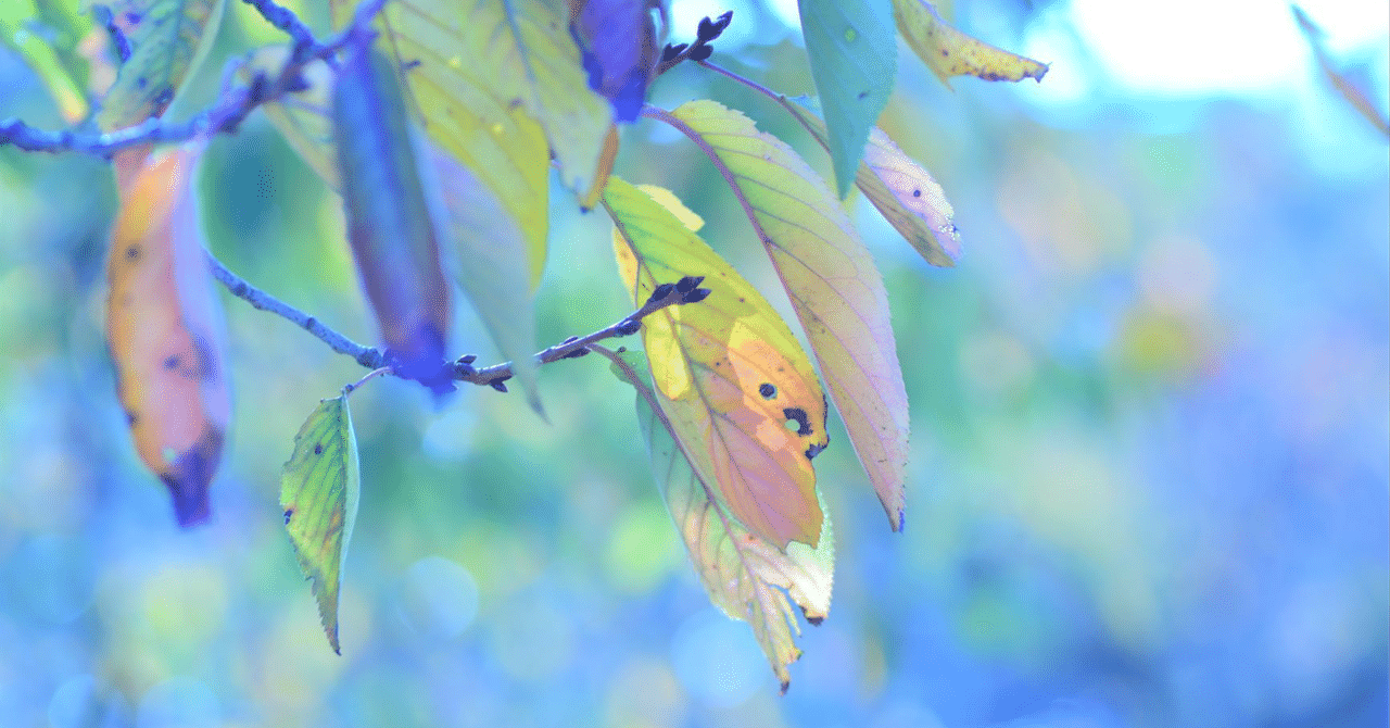 ワーママの有休の使い方｜moepi