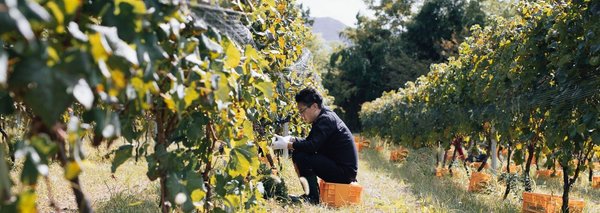 IMADEYA MAGAZINE｜note