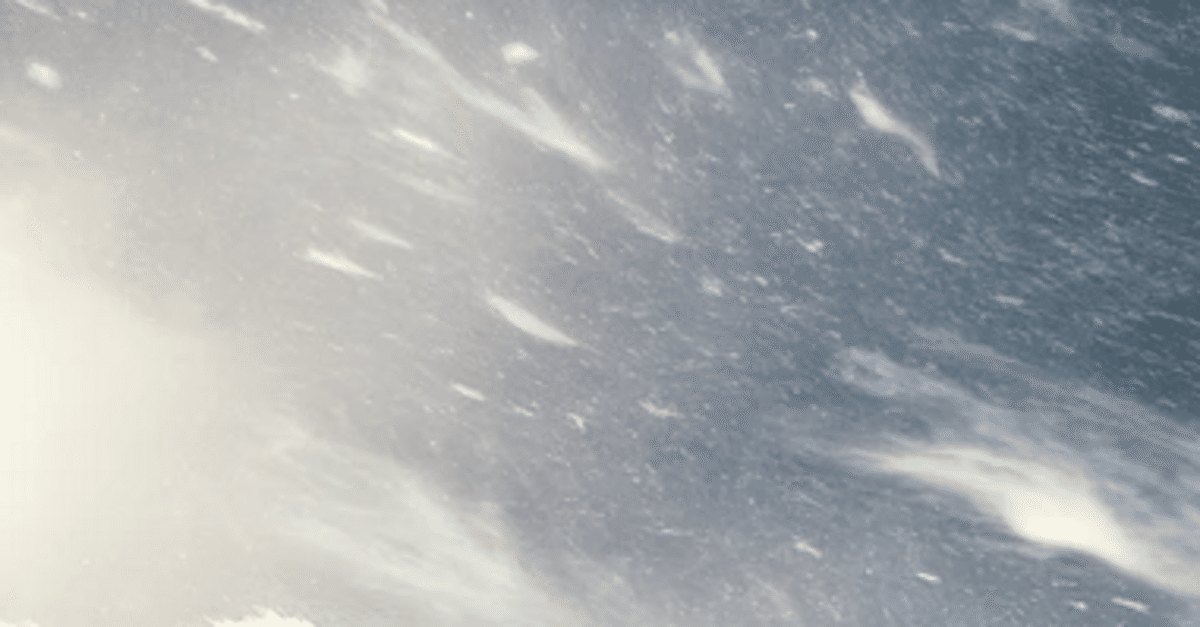 copyとduplicateってどう違うの？🤔｜gorojy