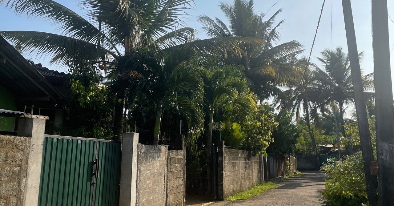 20年ぶりの再会🇱🇰｜Peamo curry