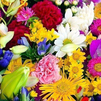 miyu〜こんな私の日常〜｜note