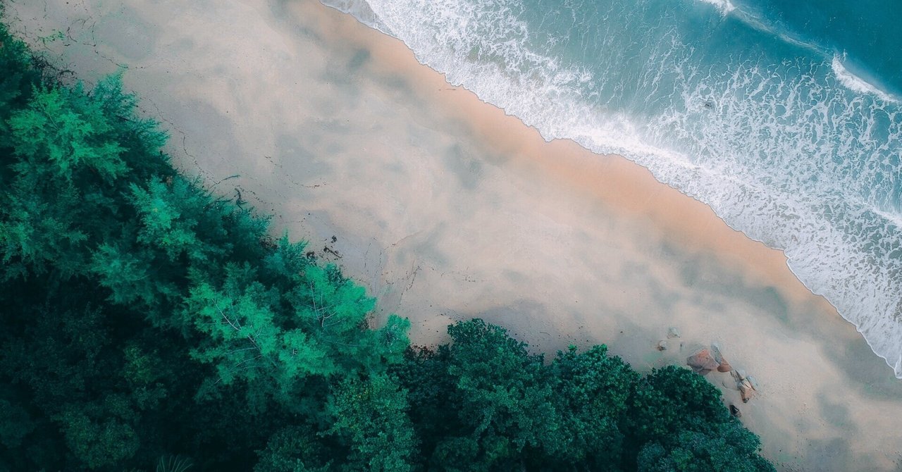 日本とオーストラリアで複業する働き方 ふたつの国でふたつの仕事をする｜野島 耕平 / Kohei Nojima