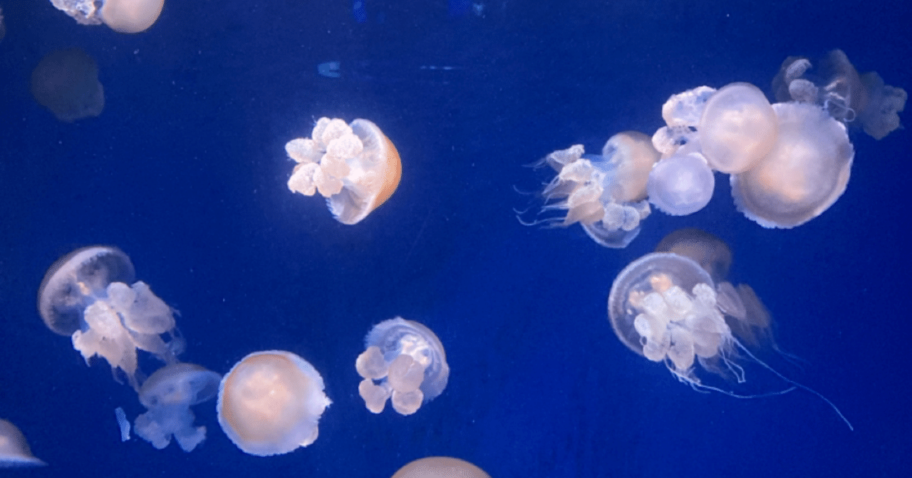 がまんともうそう｜yuno