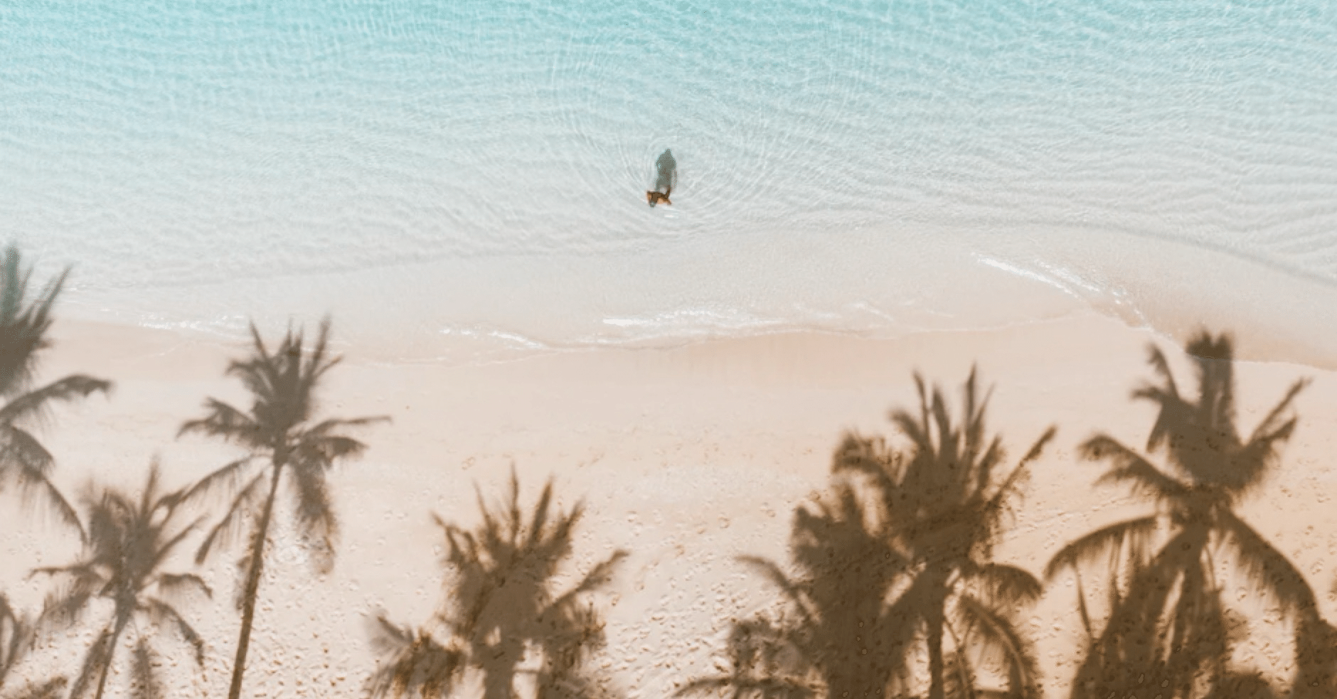 最強メンタルへの道｜MIKI｜note