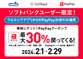 ソフトバンク限定ウェルシアPayPay30%付与クーポンの上限は500ポイントまで。 30％バックで500ポイントぎりぎり貰える金額計算しました。 1,665円になります！！！！！｜ズボラ主婦 ...