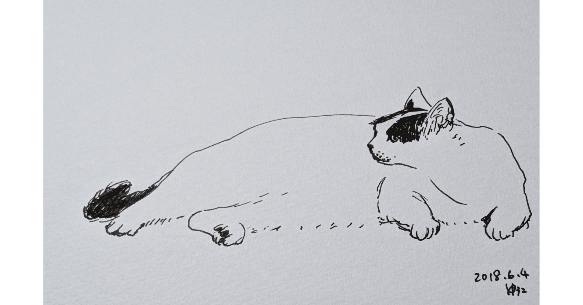 mogumogu kinoko（きの）｜note