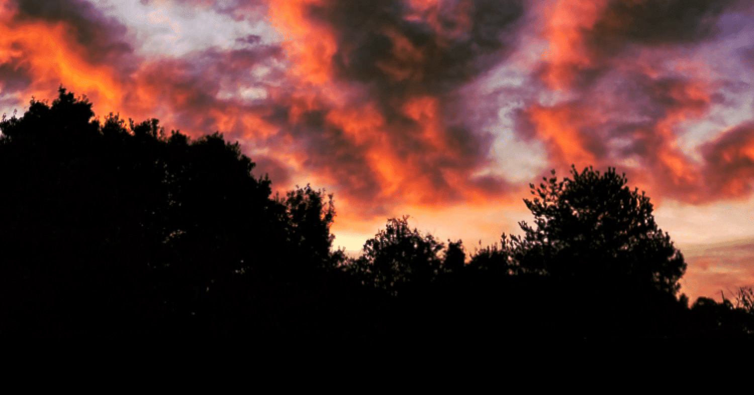 Takaaki Takagi｜note