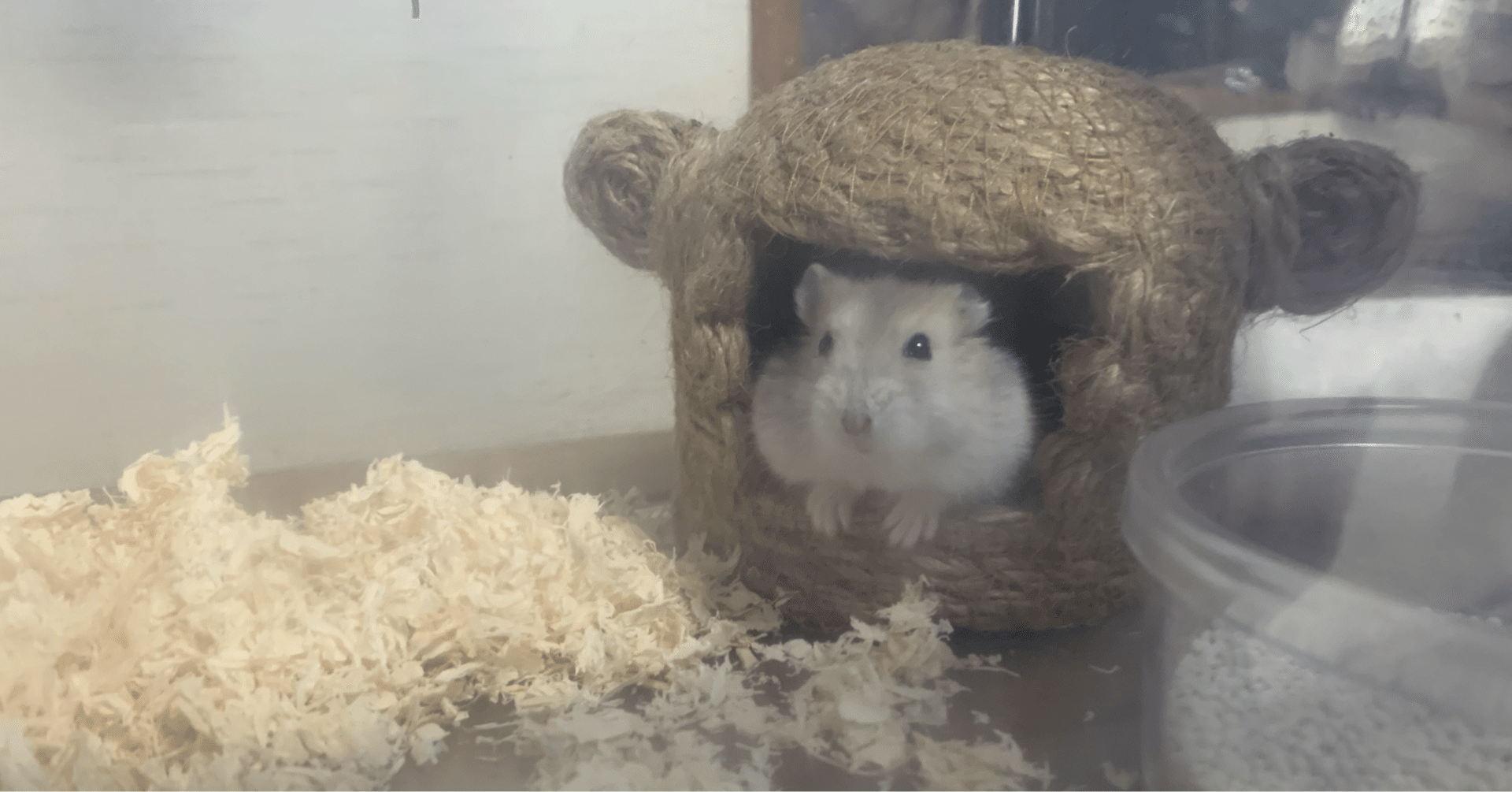 ゴルフショップ店員のメモ｜riho｜note