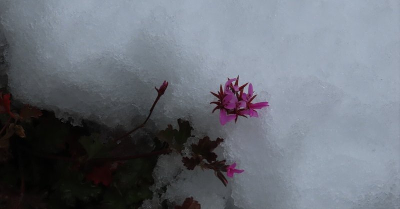 ため息俳句 雪解け|水曜日の窓辺