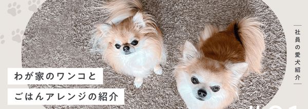 OBREMO（オブレモ）公式｜note